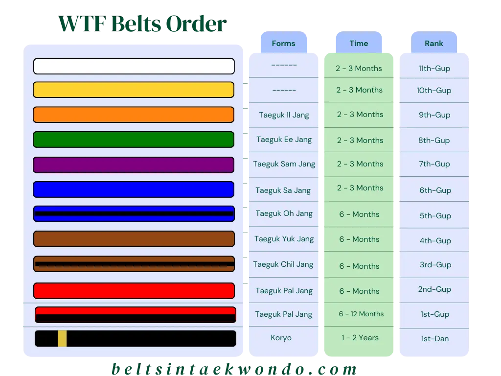 Taekwondo Belts Ranking Beginner To Black Belt Explained 